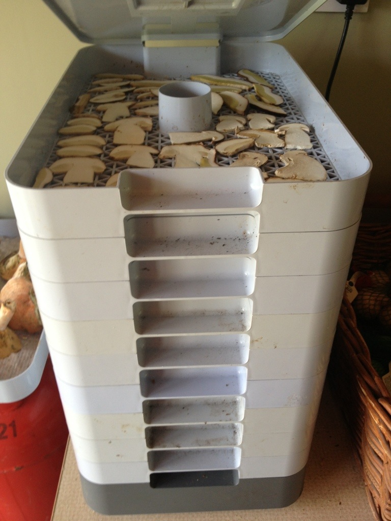 How to Dry Mushrooms - Mo Wilde