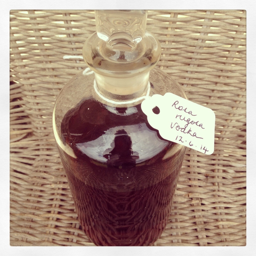 Rose petal vodka - Mo Wilde