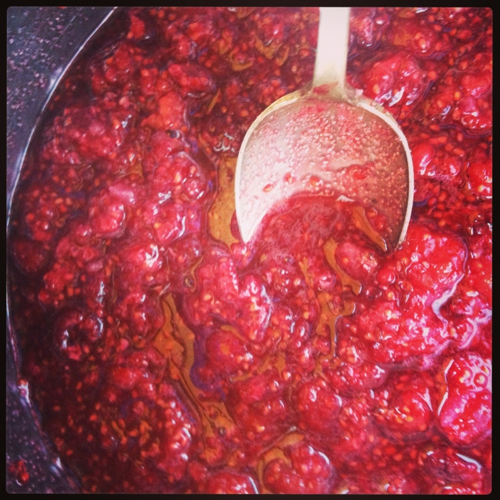 Wild Raspberry Jam - Mo Wilde