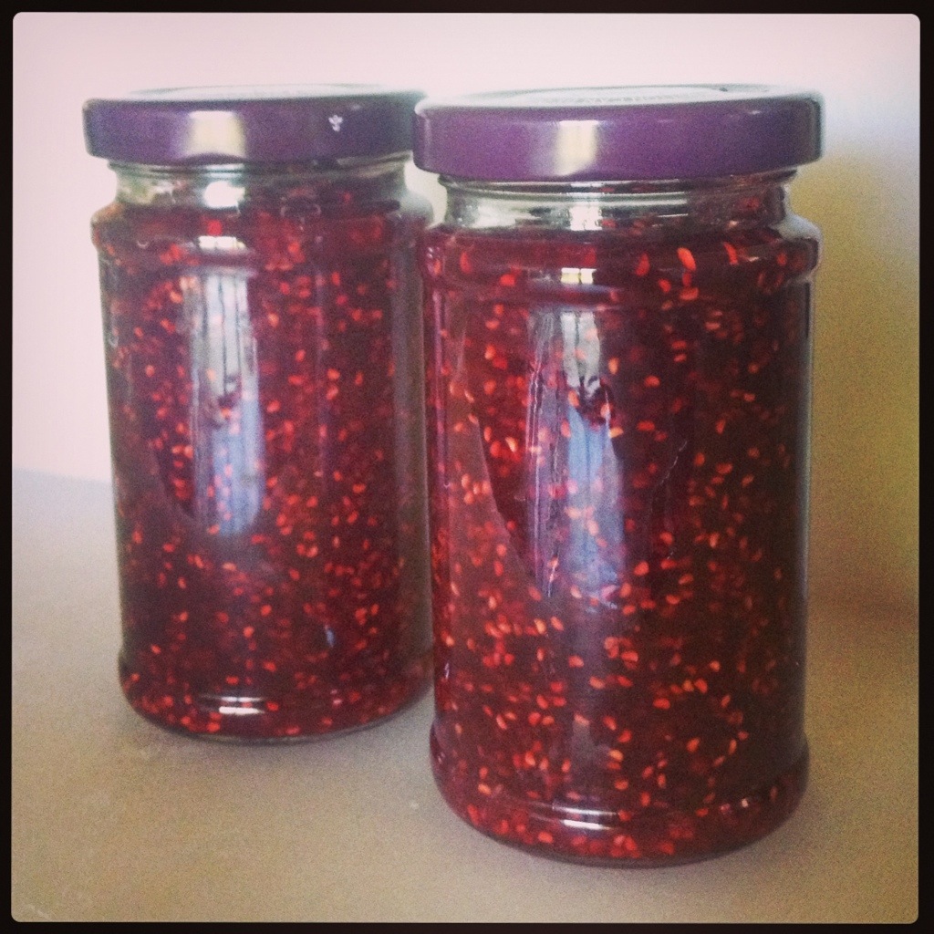 Wild Raspberry Jam - Mo Wilde